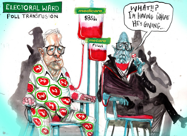 David Rowe cartoons for the Australian Financial Review January 2025