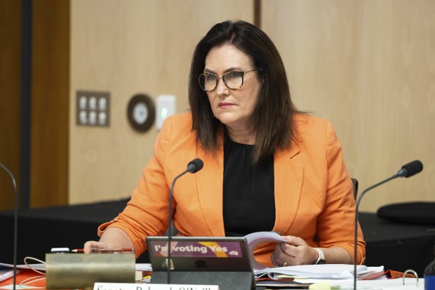 PwC scandal: Labor senator Deborah O’Neill warns sector of further ...
