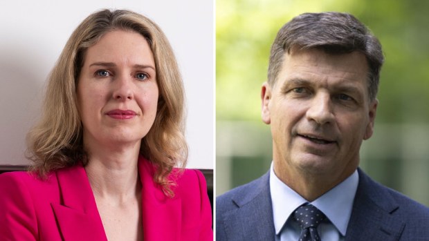 Liberal MP Angus Taylor raises concerns over productivity boss Danielle ...