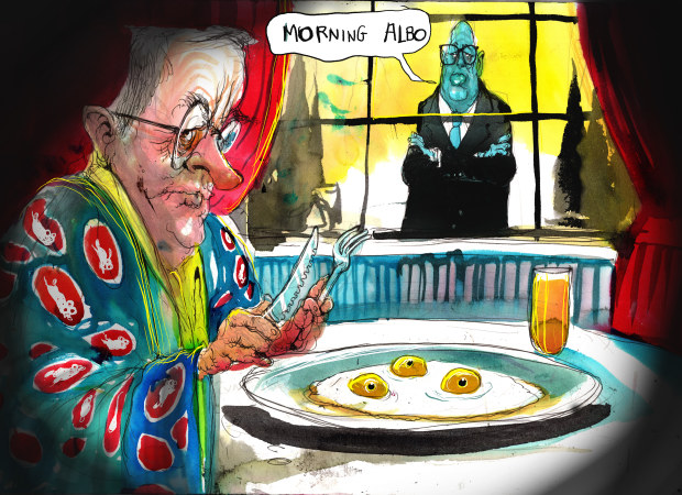 David Rowe cartoons for the Australian Financial Review April 2024