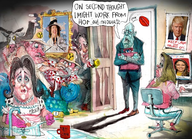 David Rowe cartoons for the Australian Financial Review January 2025