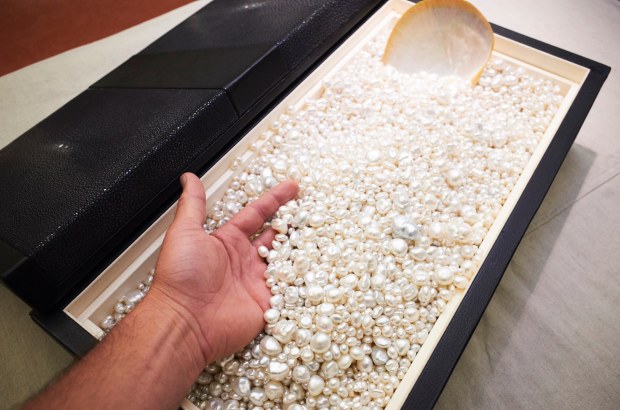 Paspaley family fortune rises as rare natural pearls come back in vogue