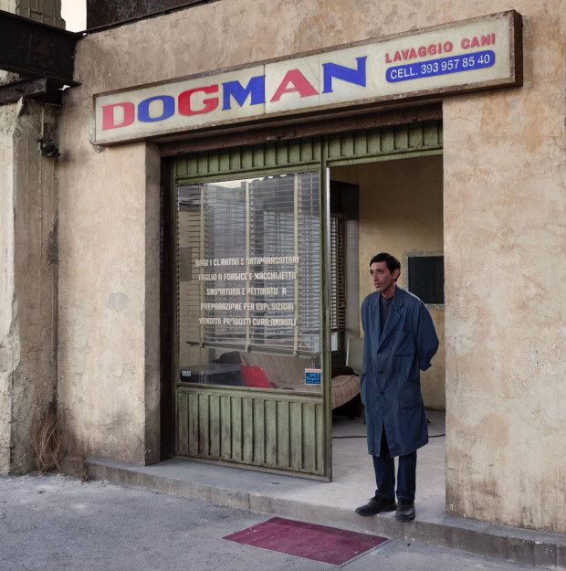 Film review: Dogman serves as a parable on power