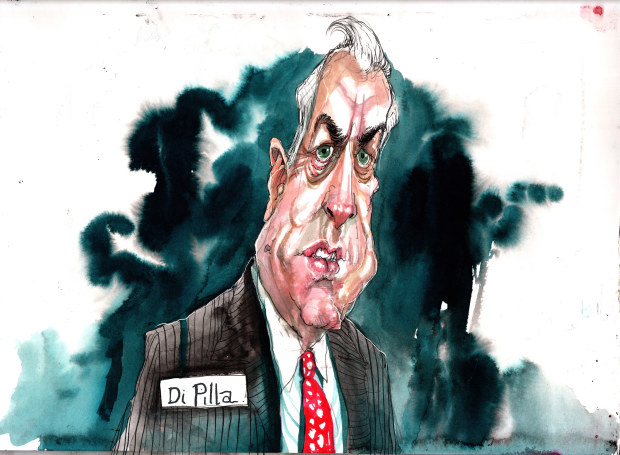 HMC ASX: David Di Pilla thinks a new private equity owner could save ...