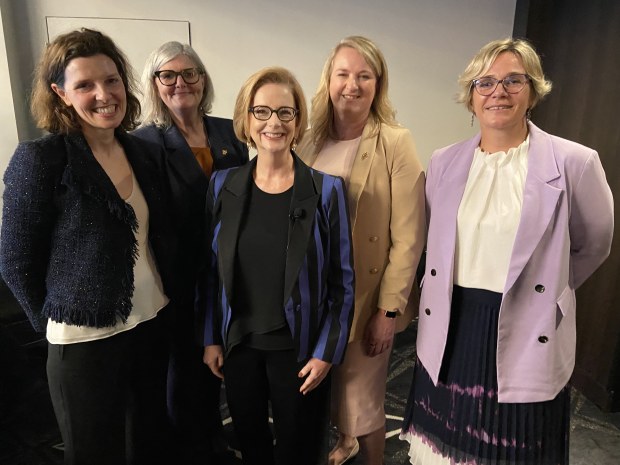 Tax cuts Australia: Teal MP Kylea Tink says $140,000 a year is ‘not rich’