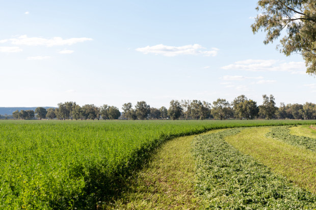 Lachlan River spread brings history and hay
