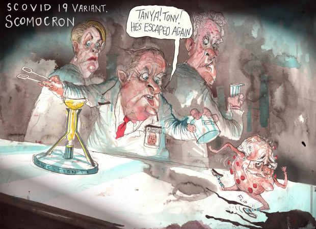David Rowe cartoons for November 2021