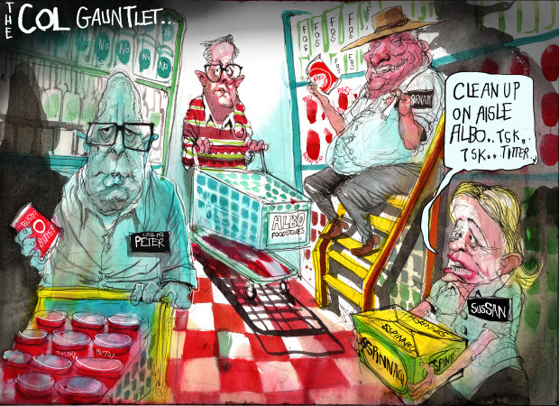 David Rowe cartoons for the Australian Financial Review October 2023