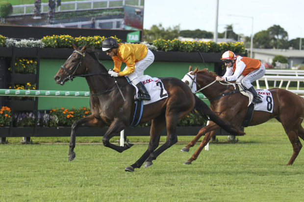 Long road to national wagering reform lucrative for Tabcorp: analysts