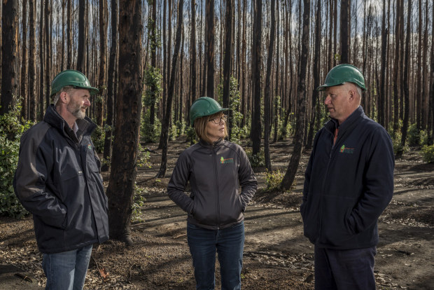 Kiland rustles up punters for biochar venture