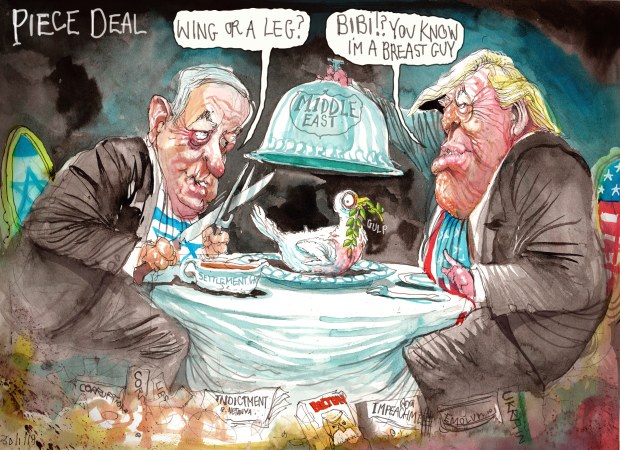 US election 2020: Donald Trump cartoons from David Rowe
