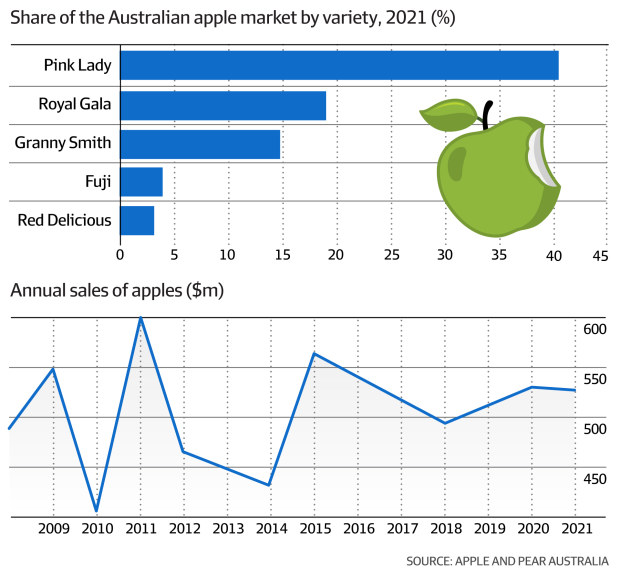 Cosmic Crisp apples: A $27m investment by Red Rich Fruits in a new ...