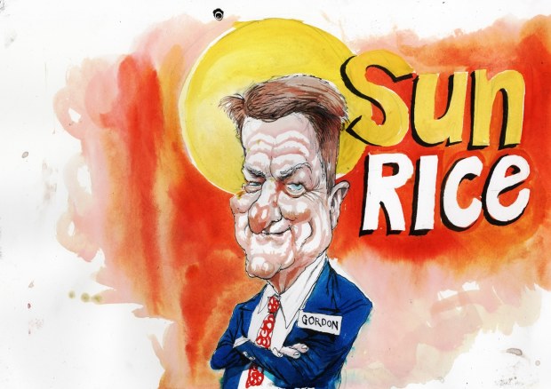 SunRice CEO Rob Gordon stands out in rural sector