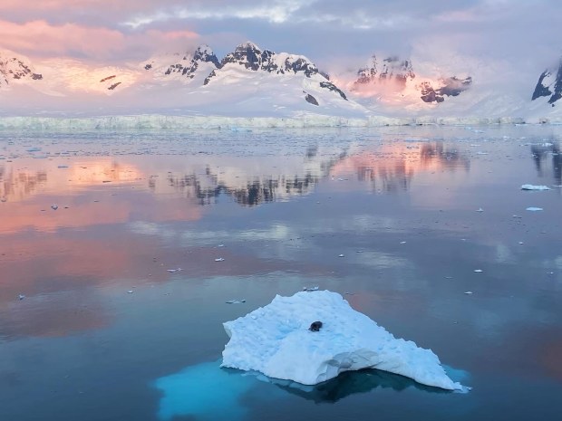 The Australian Financial Review’s director of ventures, Alana Piper ...