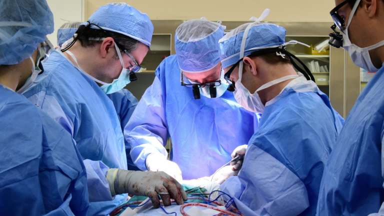 A gunshot destroyed her face. Rare transplant surgery has given her a ...