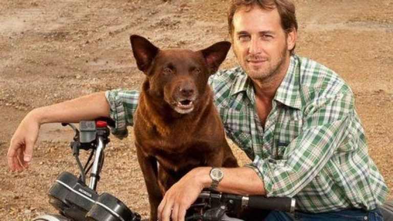 From Red Dog to Blue Dog: Nelson Woss sets many tales wagging