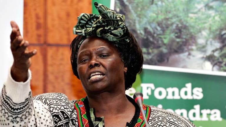 Environmentalist Nobel winner dies