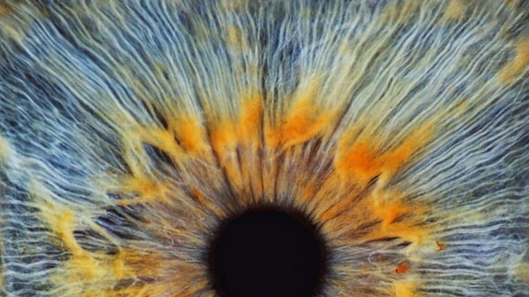 Under the lid - the mysteries of the eye are being unveiled