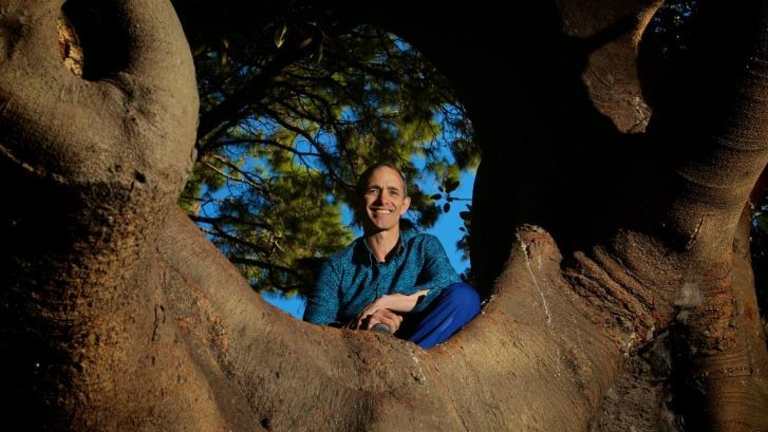 The 65-Storey Treehouse fastest selling book in a decade, as Andy ...