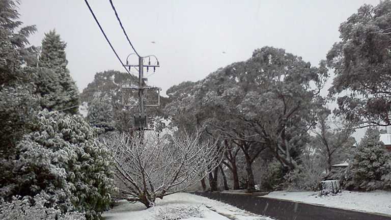 'Everything is all white': heavy snow falls in parts of NSW