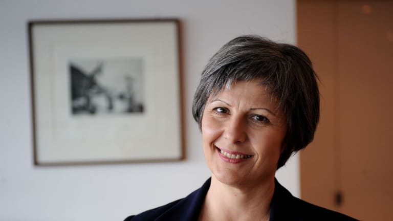 Labor looking for TV celebrities as battle for Wills heats up