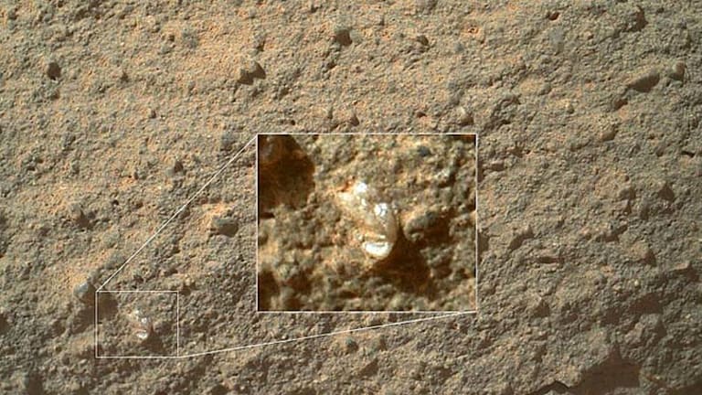 Martian 'flower' uncovered by Mars rover