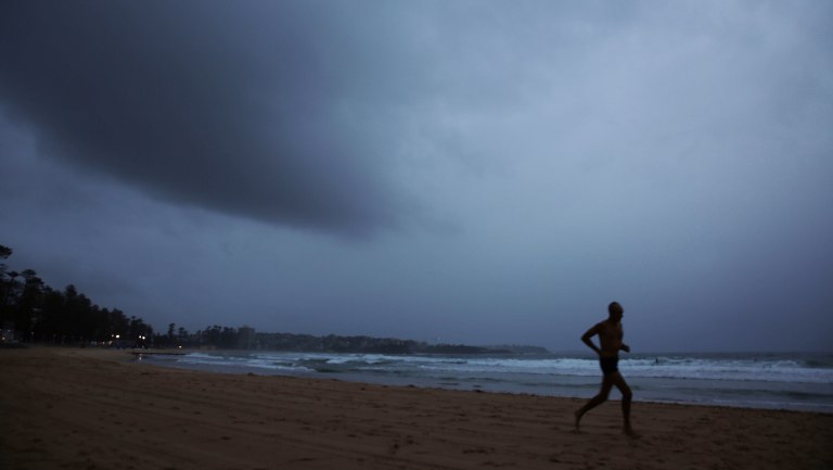 Manly shark attack: Beach closed after large shark eats seal