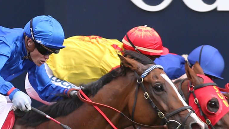 English imports prove true-blue champions for Godolphin