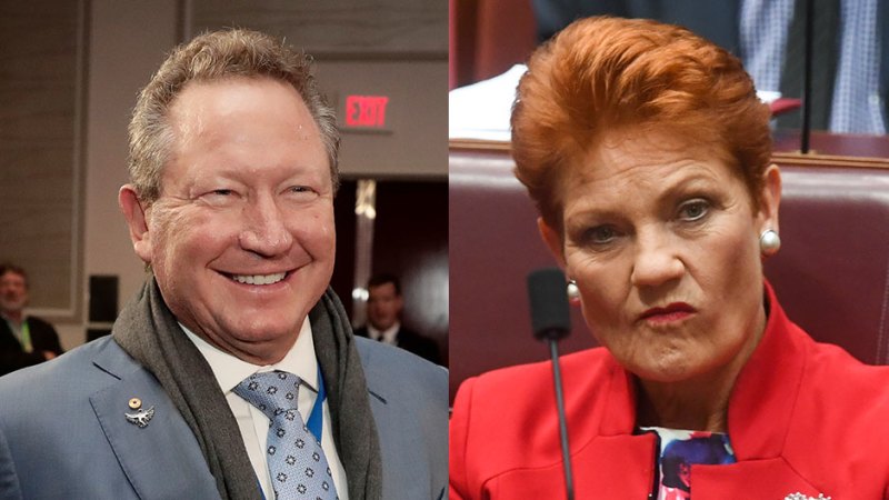 The pledge from Andrew Forrest that helped win over Pauline Hanson