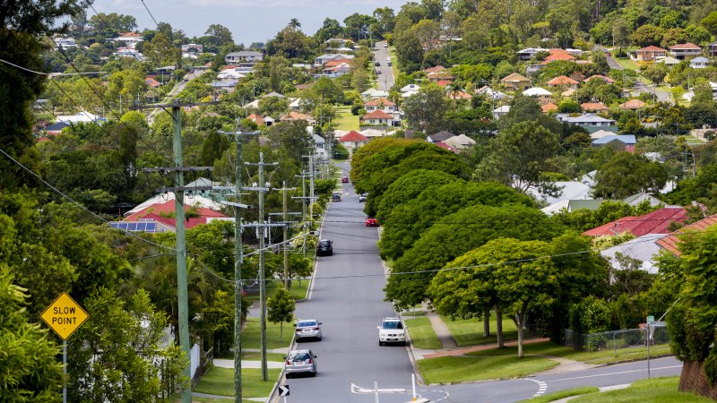 Backyard blitz in new blueprint for Brisbane