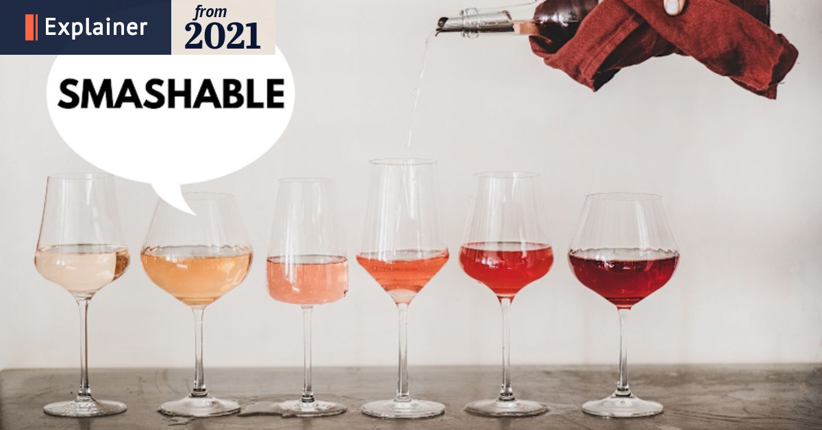 what does wine tasting notes mean