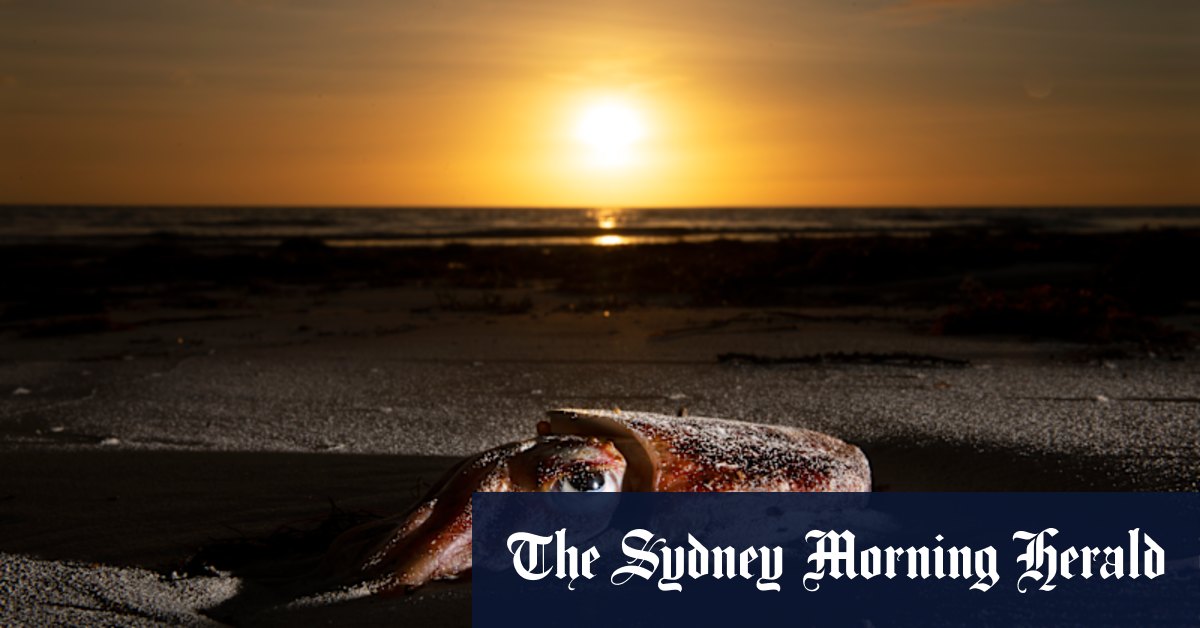 Cutejulie onlyfans leaks she felt easygoing and relaxed at