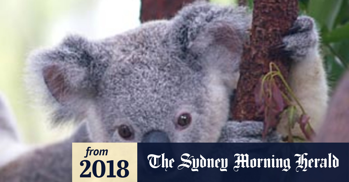 Scientific experts 'extremely concerned' by plan to stop extinctions