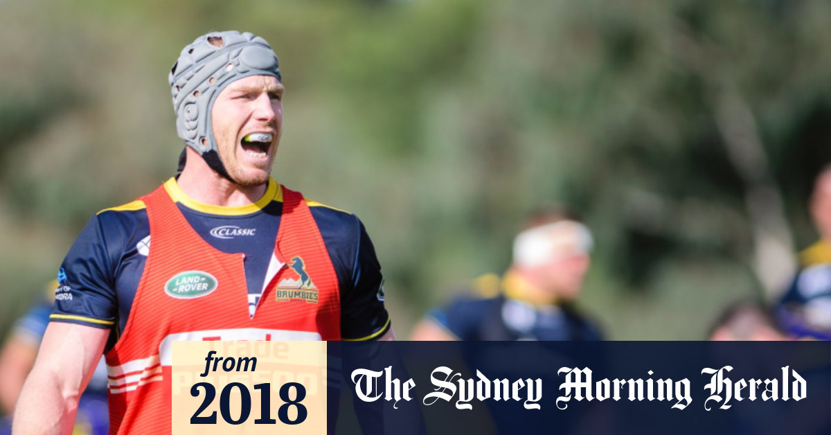 Wallabies great Simon Poidevin says David Pocock must 'return the ...