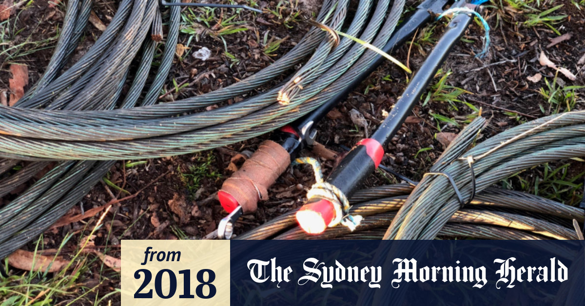 Thieves take to live power lines with bolt cutters for copper