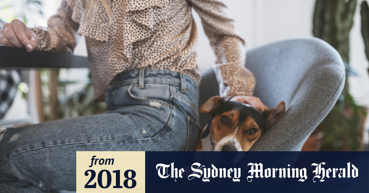 How a rescue dog saved me