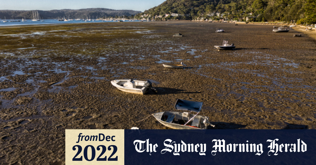 Sydney tides: Large highs and lows