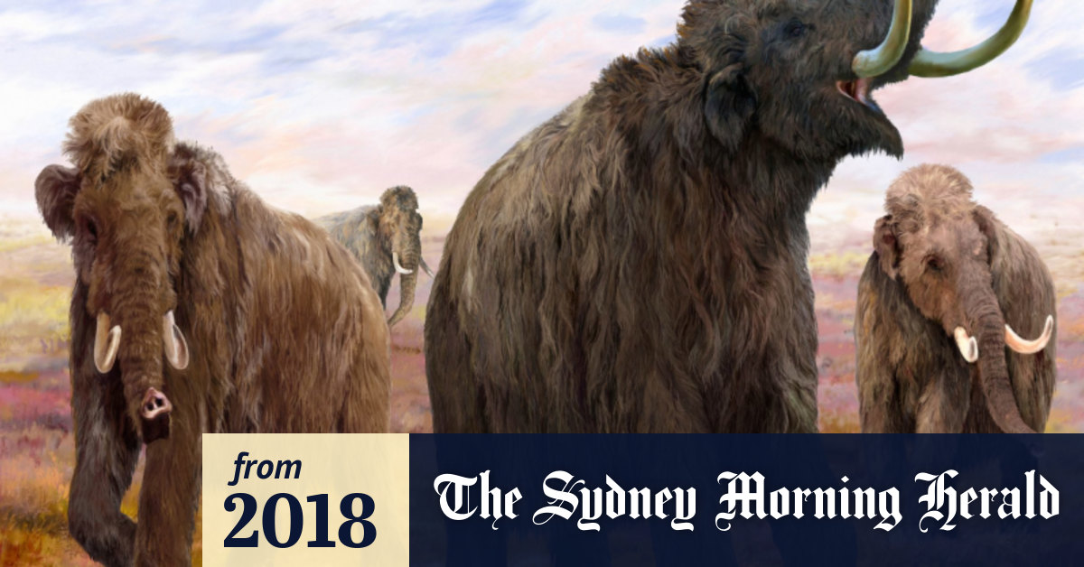 Scientists on the verge of creating hybrid elephant and mammoth