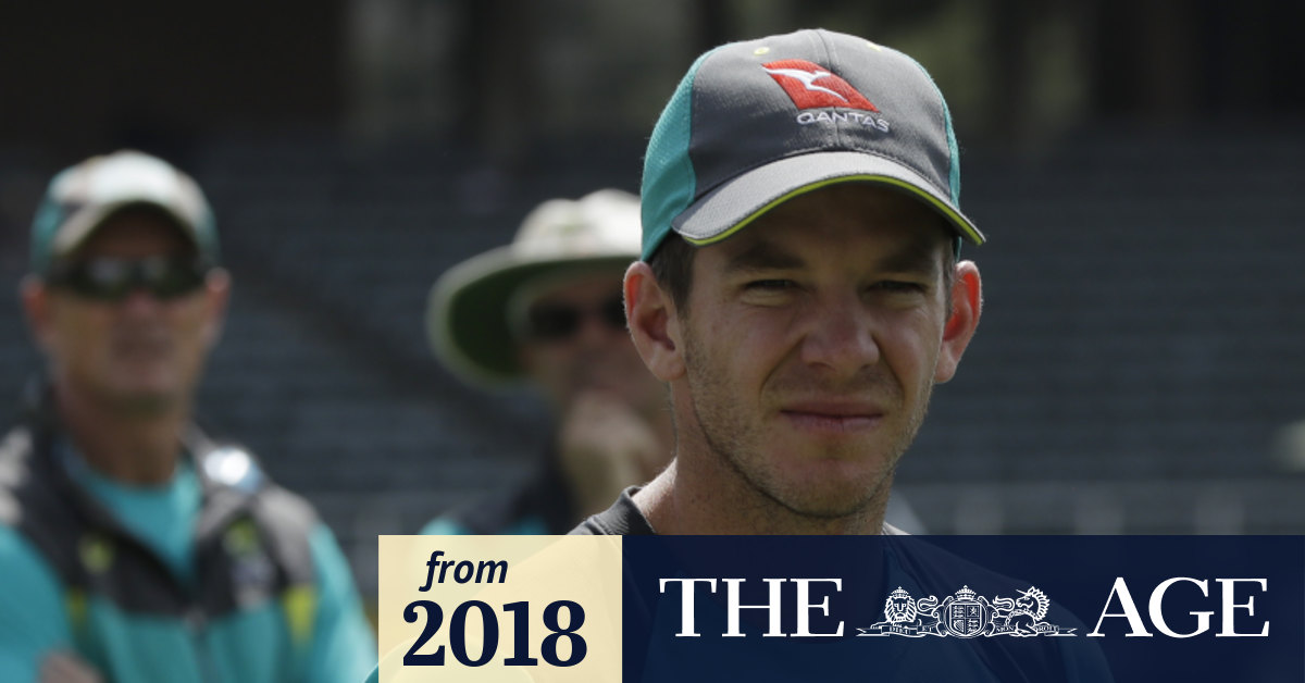 Tim Paine set to be named Australia's ODI captain