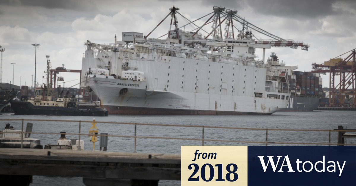 Controversial live export ship cleared to load and leave