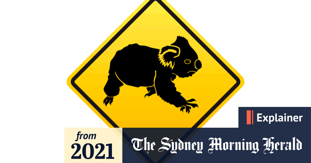 How can you reduce roadkill and what should you do if you find animals ...