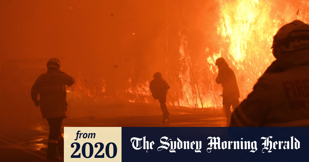 Bushfires, protest and a pandemic: 2020 was a year when ordinary ...