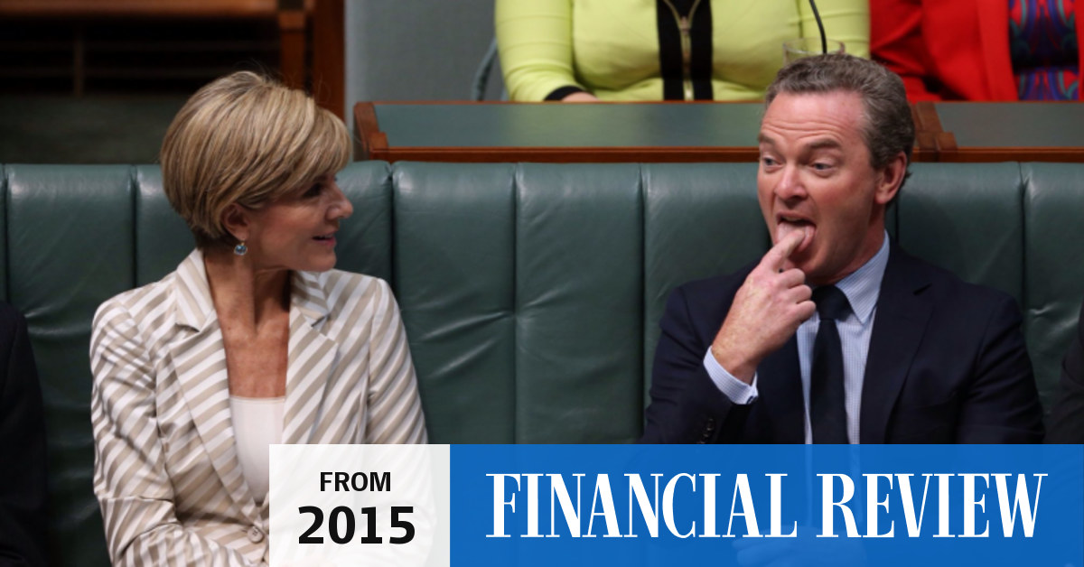 I am the Fixer, says Christopher Pyne