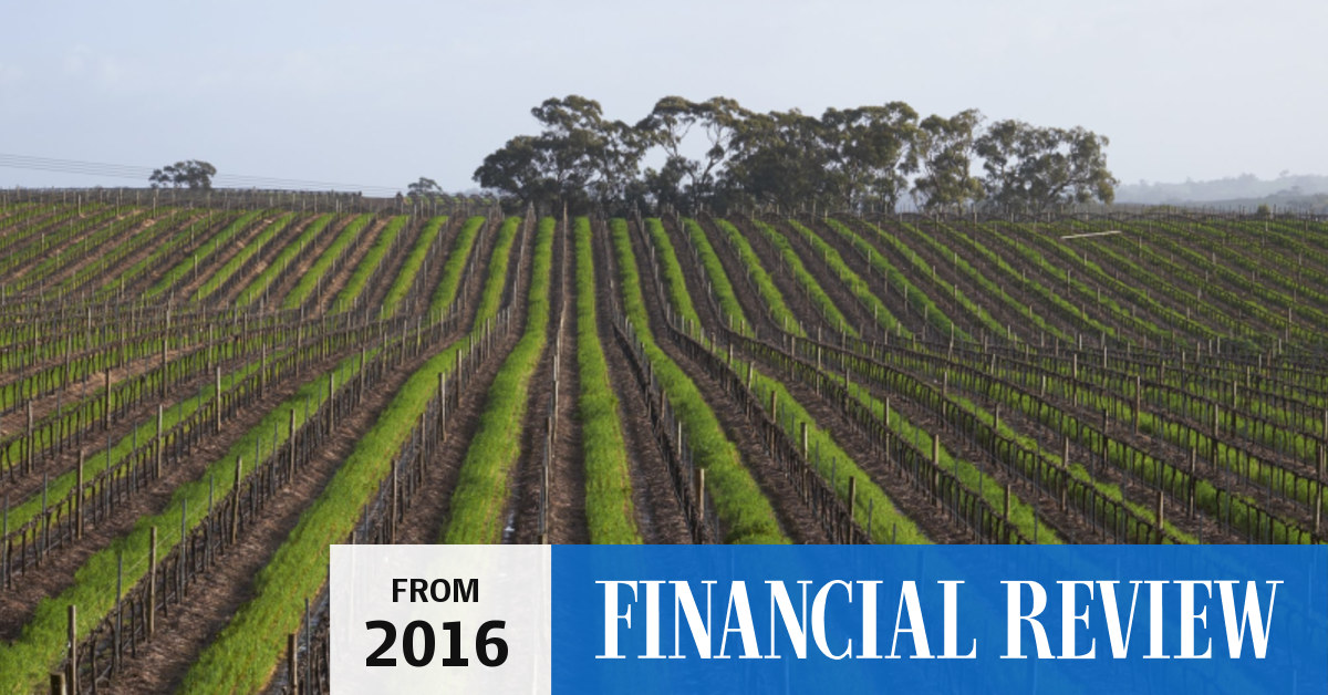 Europe's PAI Partners readies Accolade Wines tilt; sources