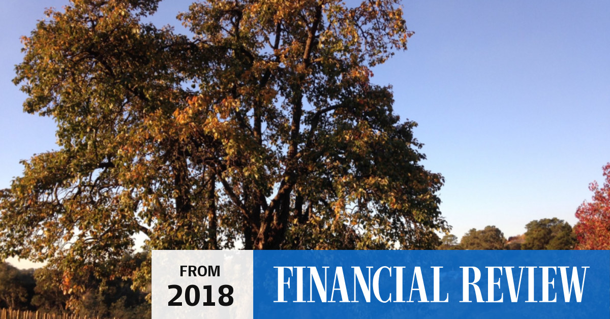 Restaurateur Peter Bartholomew and winemaker Mark Walpole revive vineyard