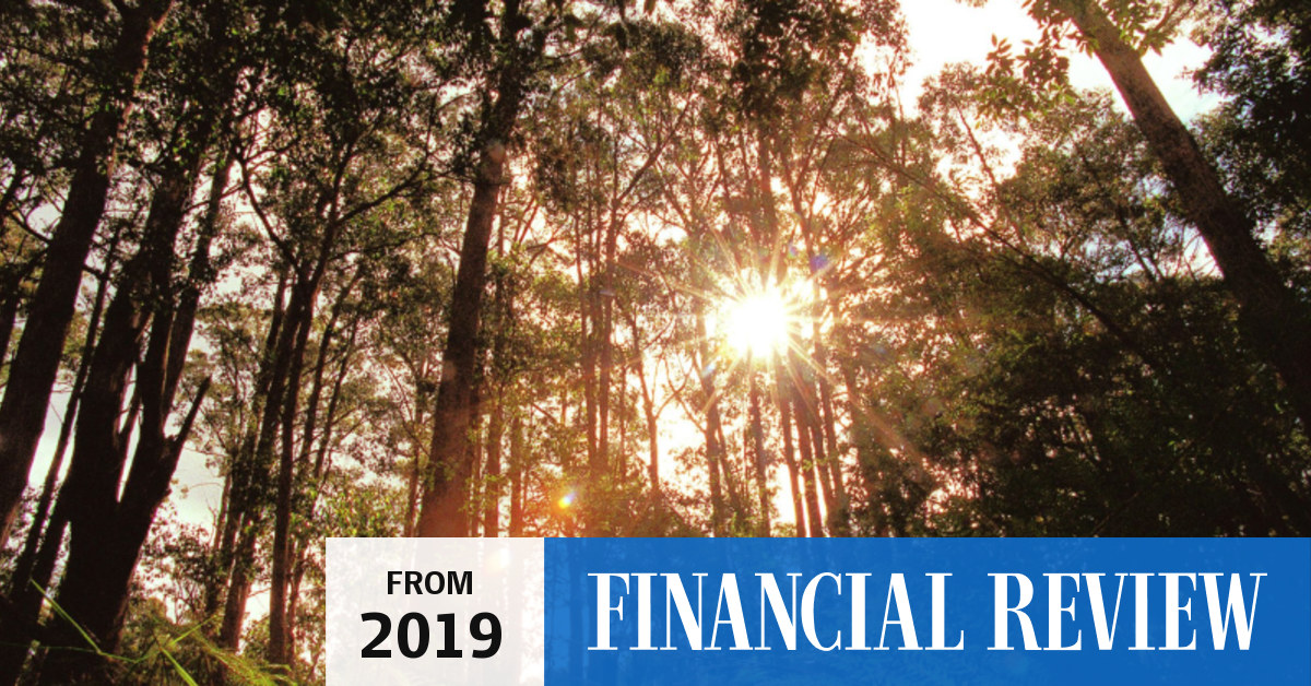 New Forests pays about $750m for New Zealand forestry