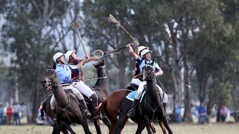Polocrosse riders play for 'trophies and honour' at 50th annual ...