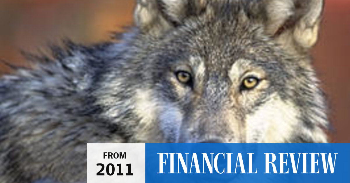 Royal Wolf surges 12.6pc on float