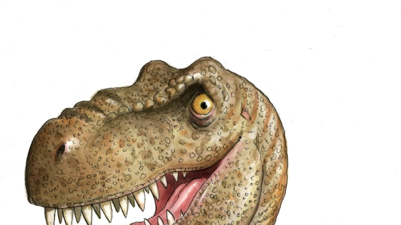 'Chickenosaurus': paleontologist aims to re-create the dinosaur in ...