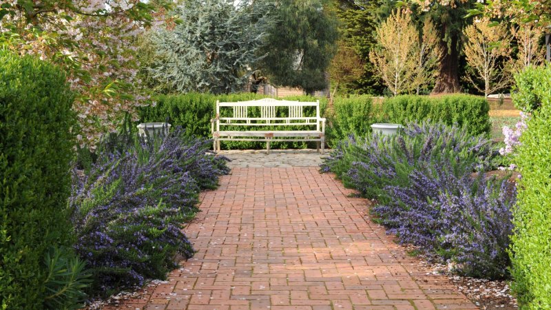 Gardening: Rosemary looks good in the garden and tastes great on the plate